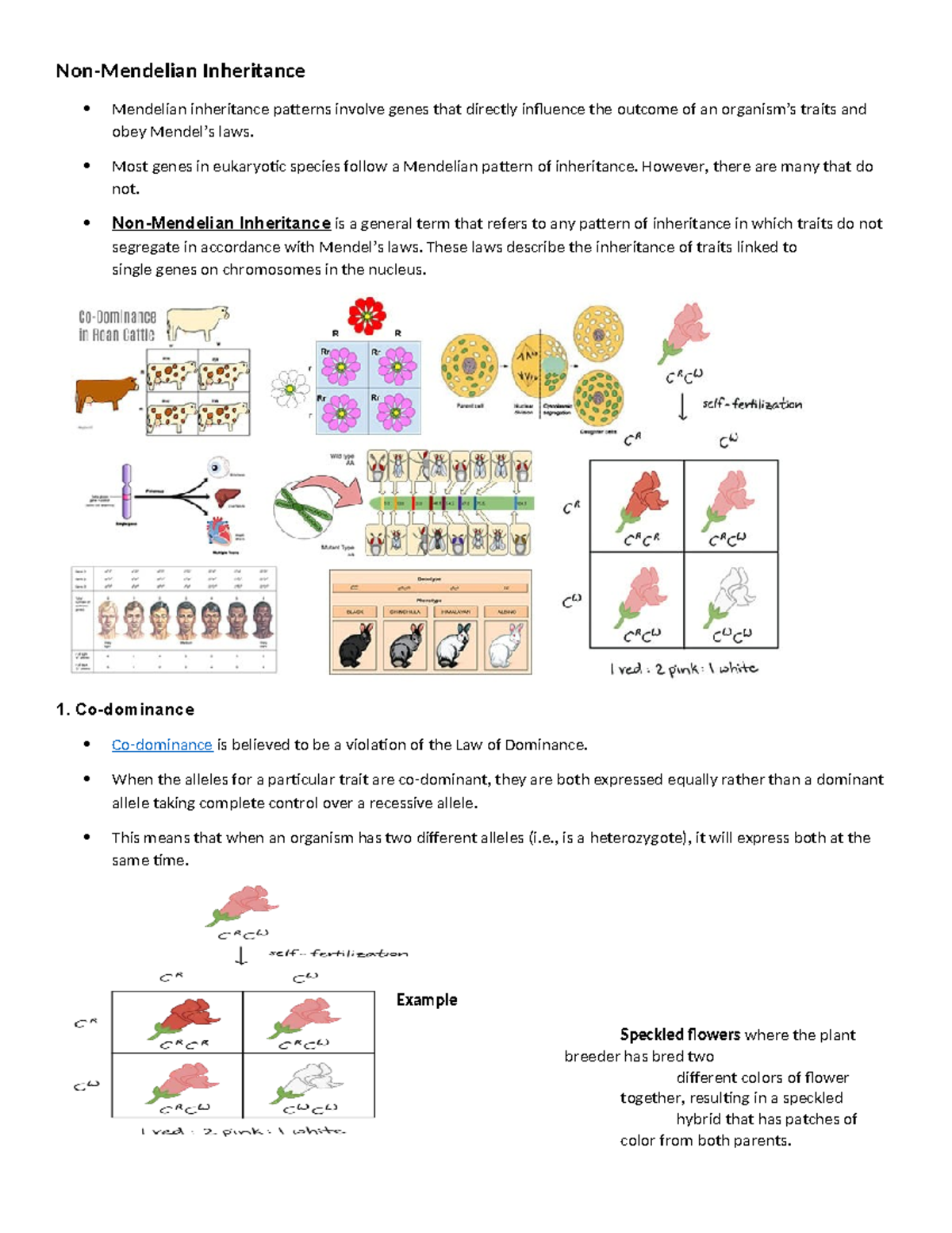 Non-Mendelian Inheritance Patterns - Notes - Studocu