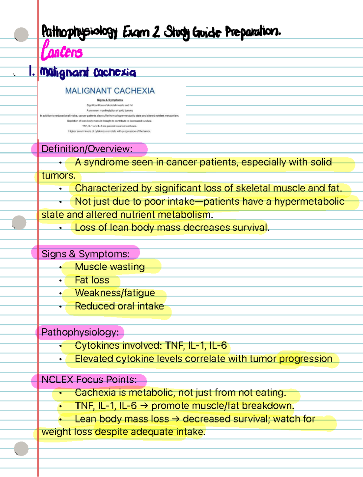 Pathophysiology Exam 2 Study Guide: Cancers and Urinary Obstruction - Studocu