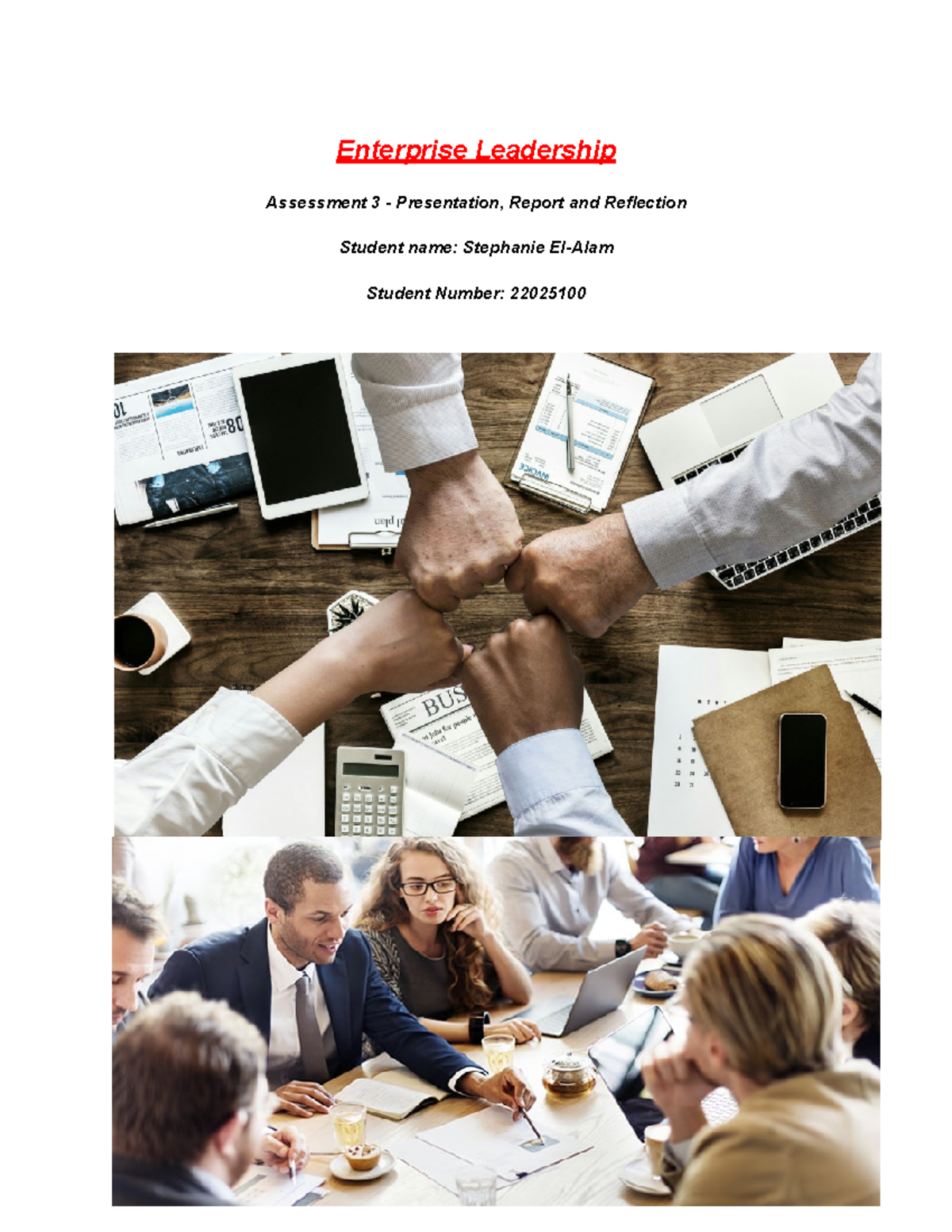 Enterprise Leadership Report & Reflection - Assessment 3 (22025100 ...