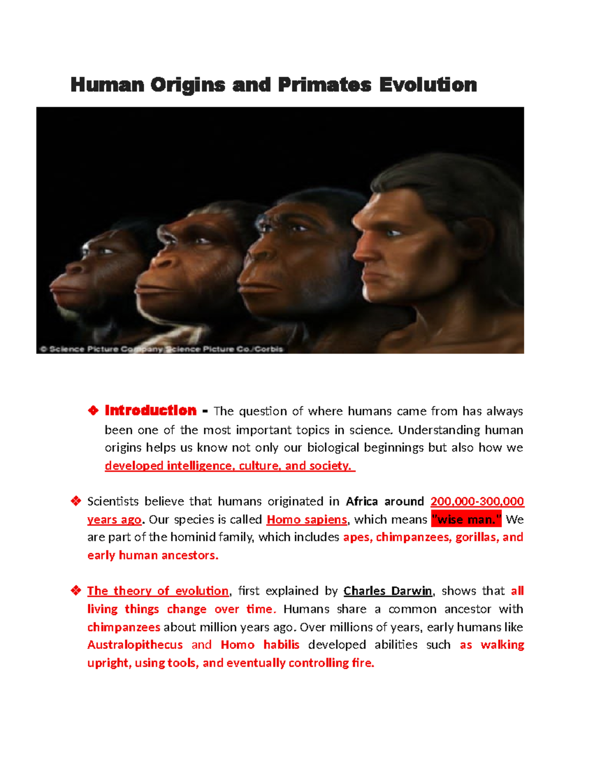 Human Origins and Primate Evolution: Group 3 Overview - Studocu