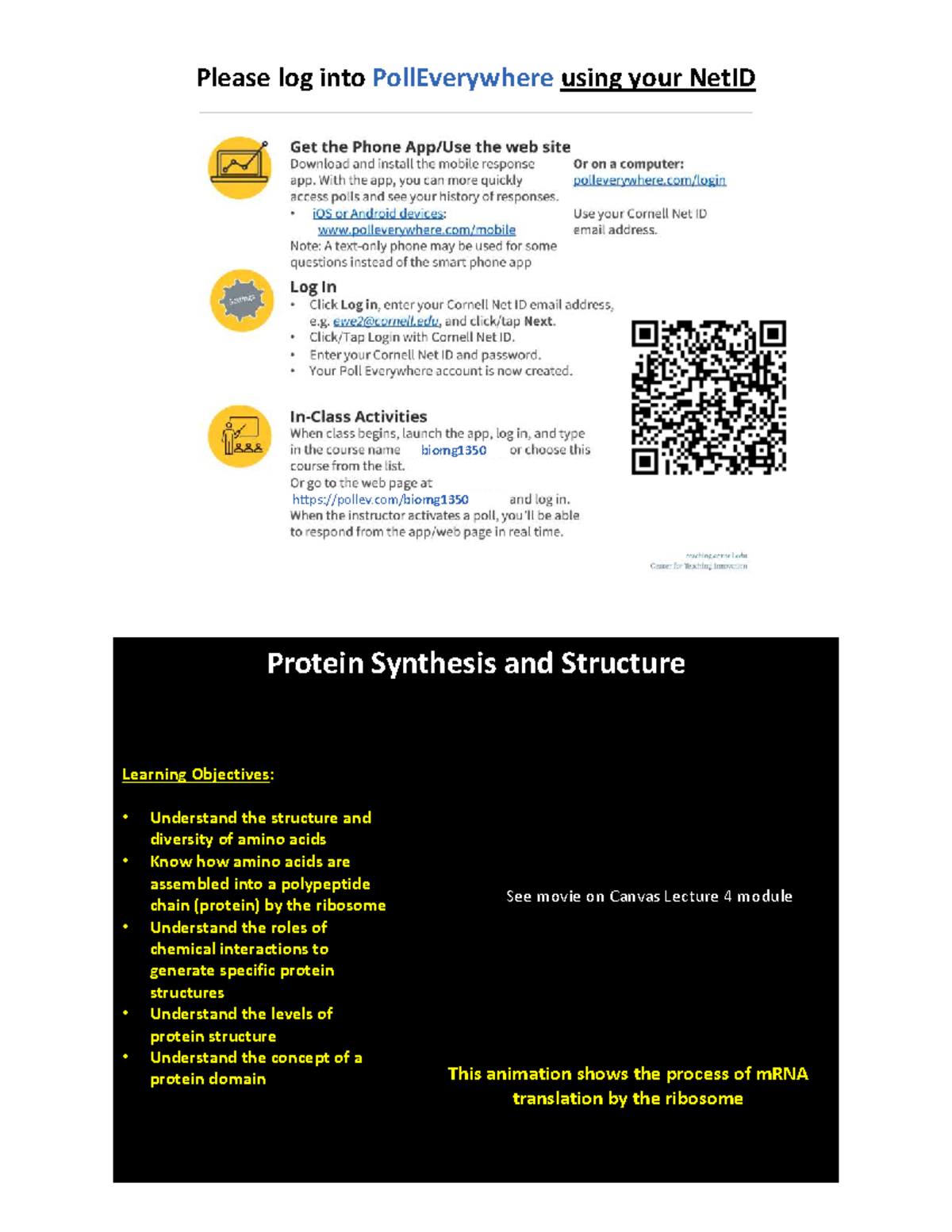 BIOMG1350 Lecture: Protein Synthesis and Structure - Studocu