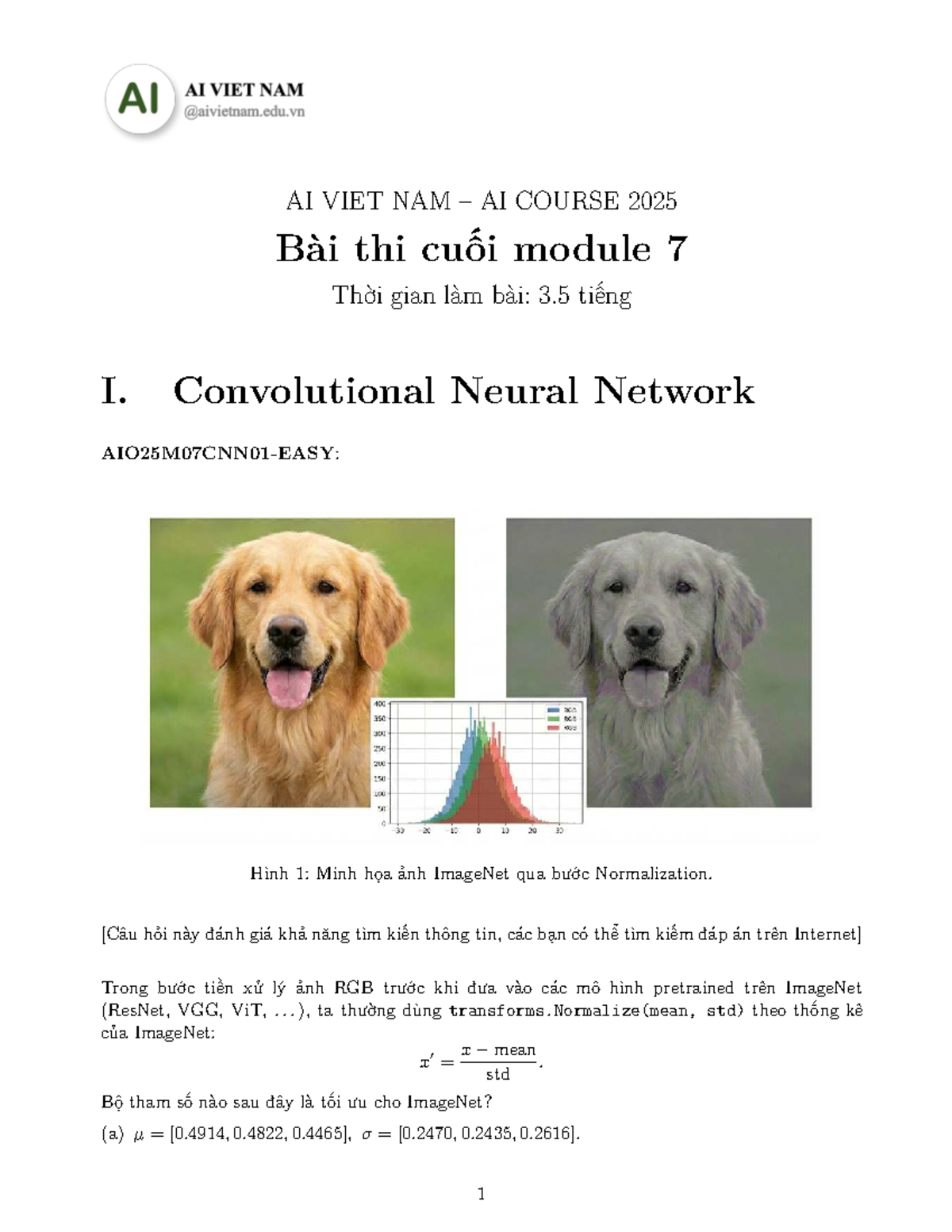 AIO2025 Final Exam Module 7: Convolutional Neural Networks and RNNs ...