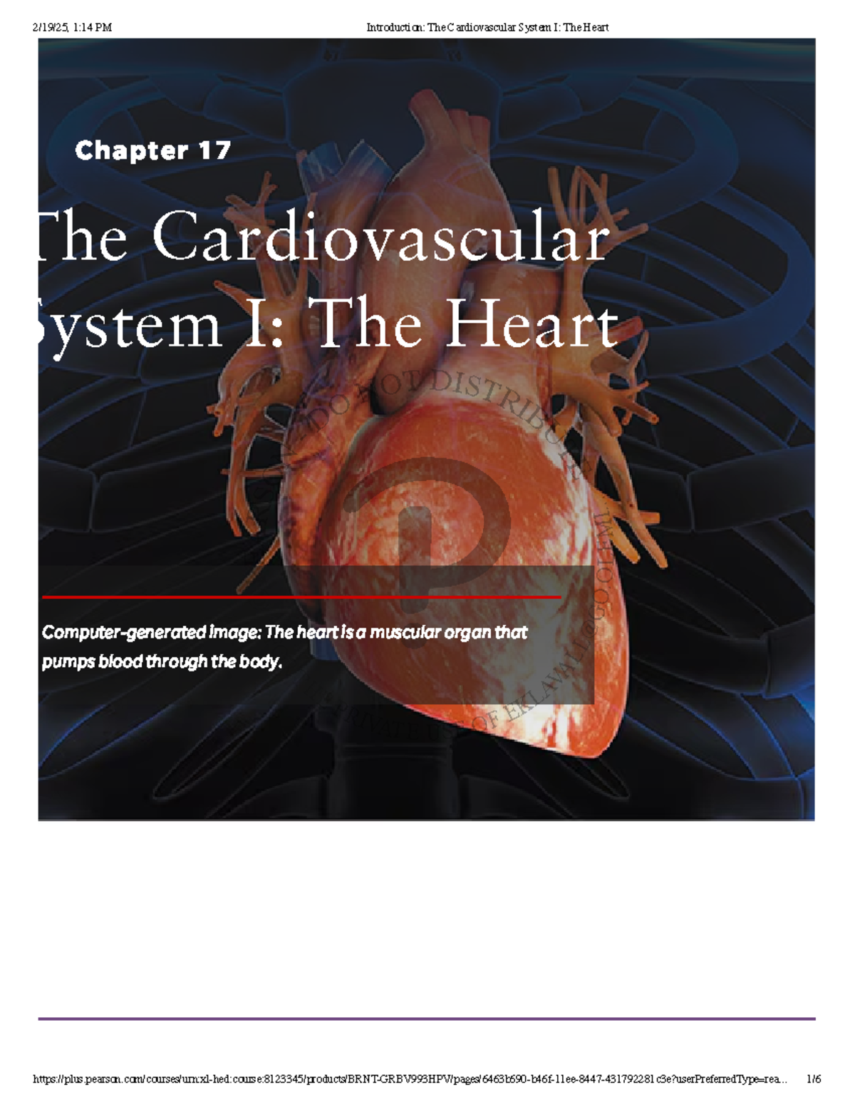 Understanding the Heart: An Overview of Cardiovascular System (BIO101 ...