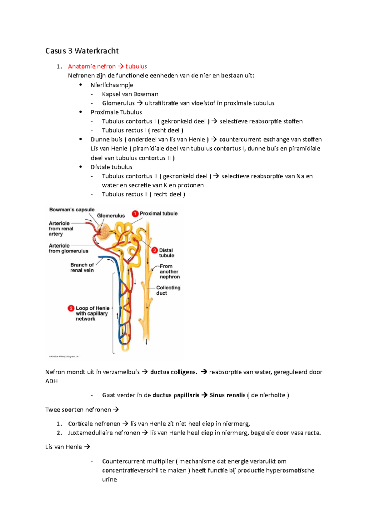 Casus 3: Waterkracht - Blok 1.3 Regulatie en Integratie van Nefronen ...