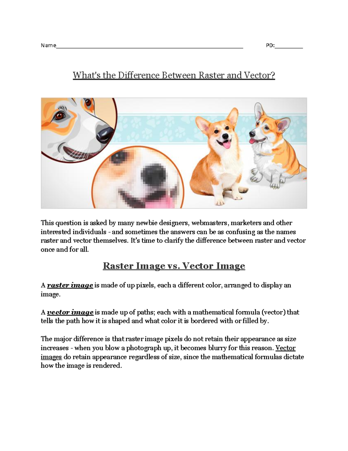 Raster vs Vector: Key Differences Explained - Multimedia Summaries - Studocu