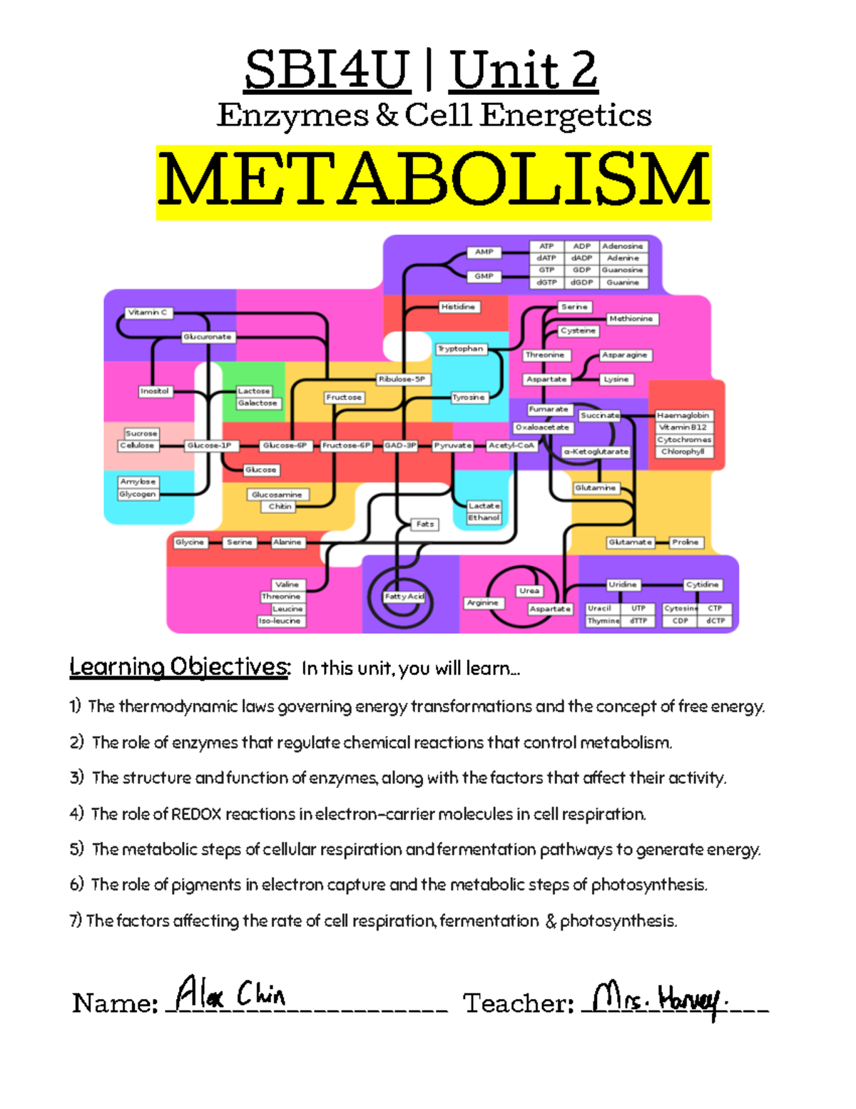 SBI4U Unit 2: Metabolism, Enzymes, and Energy Transformations Workbook - Studocu