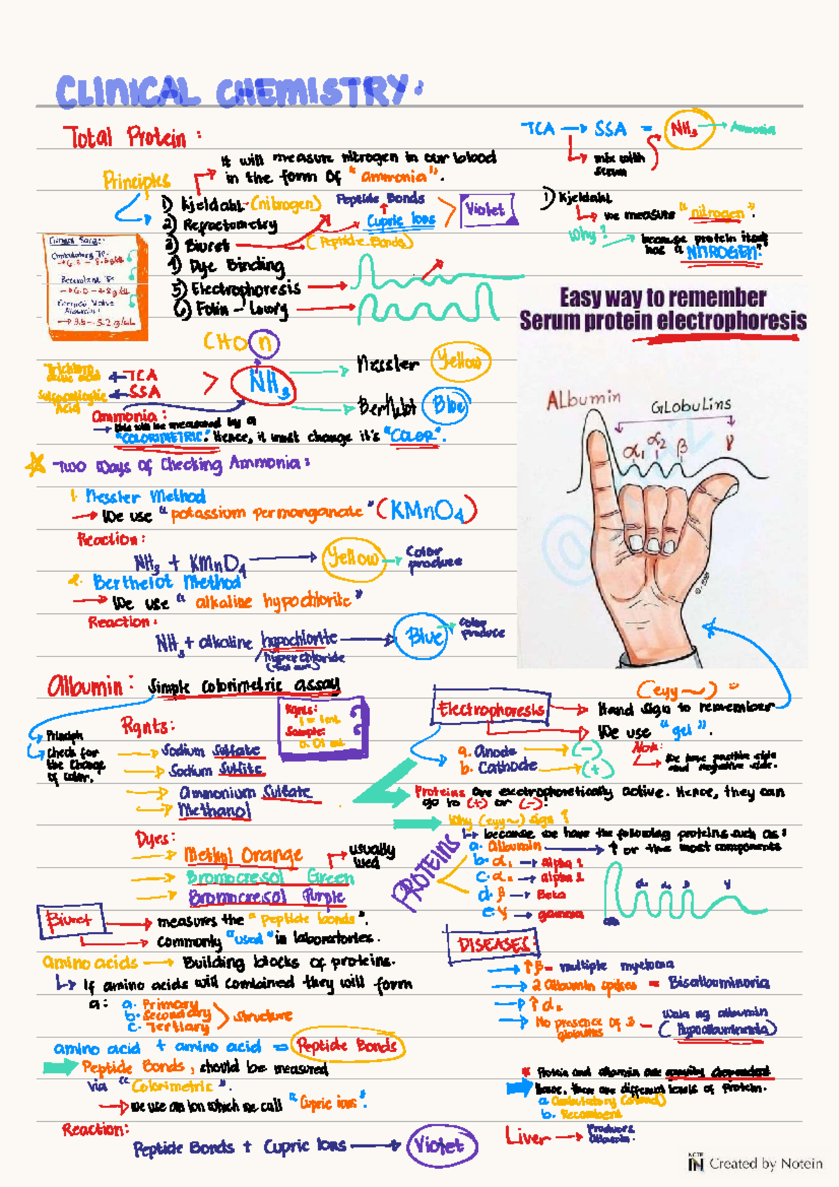 CLIN CHEM: Total Protein Measurement Techniques and Principles - Studocu