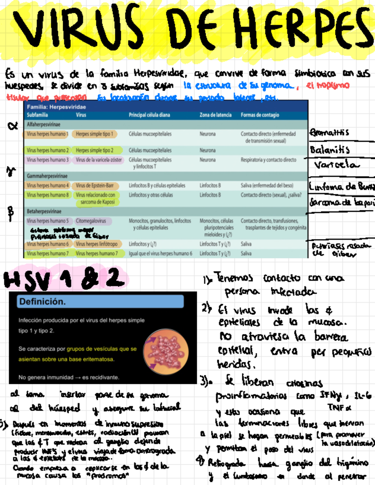 Herpes - Warning: Error during font loading: XMLHttpRequest is not defined Warning: Error during ...