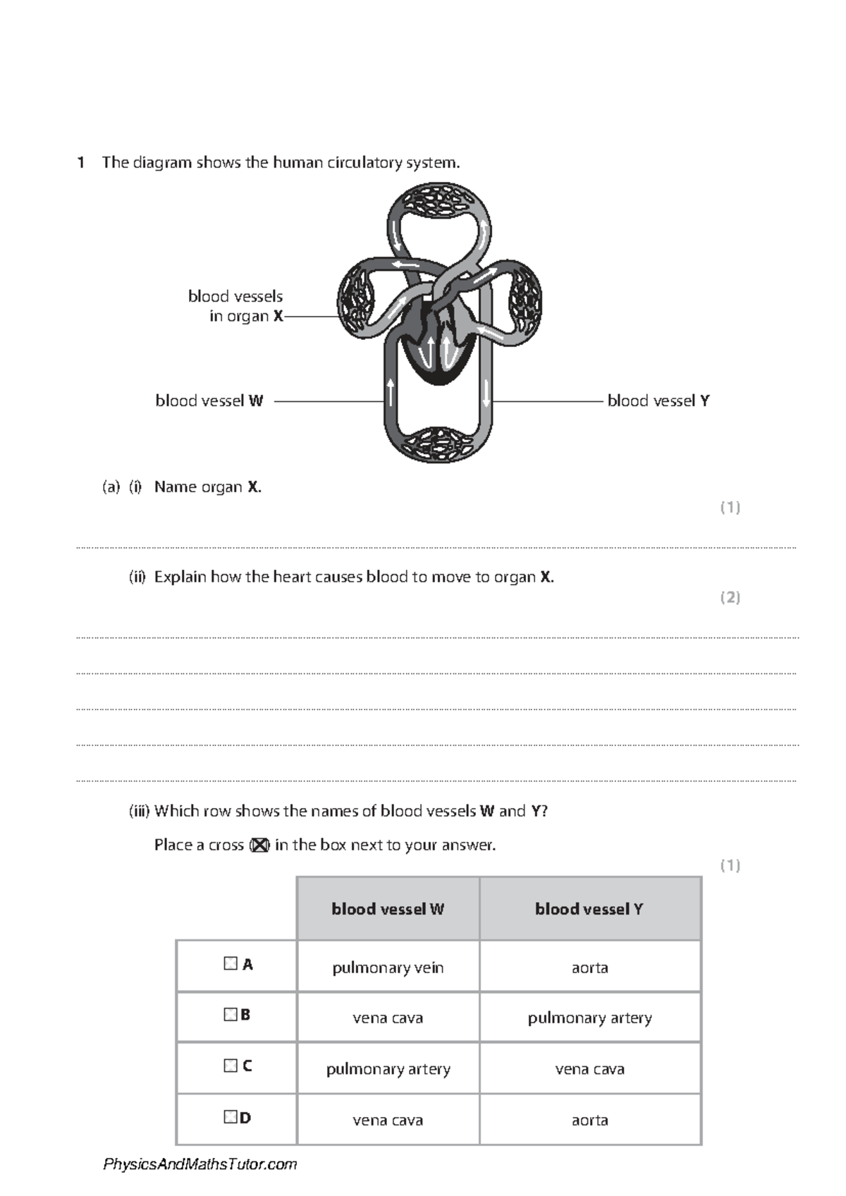 Circulatory System 1 QP: Blood Vessels, Heart Function & Exercise ...