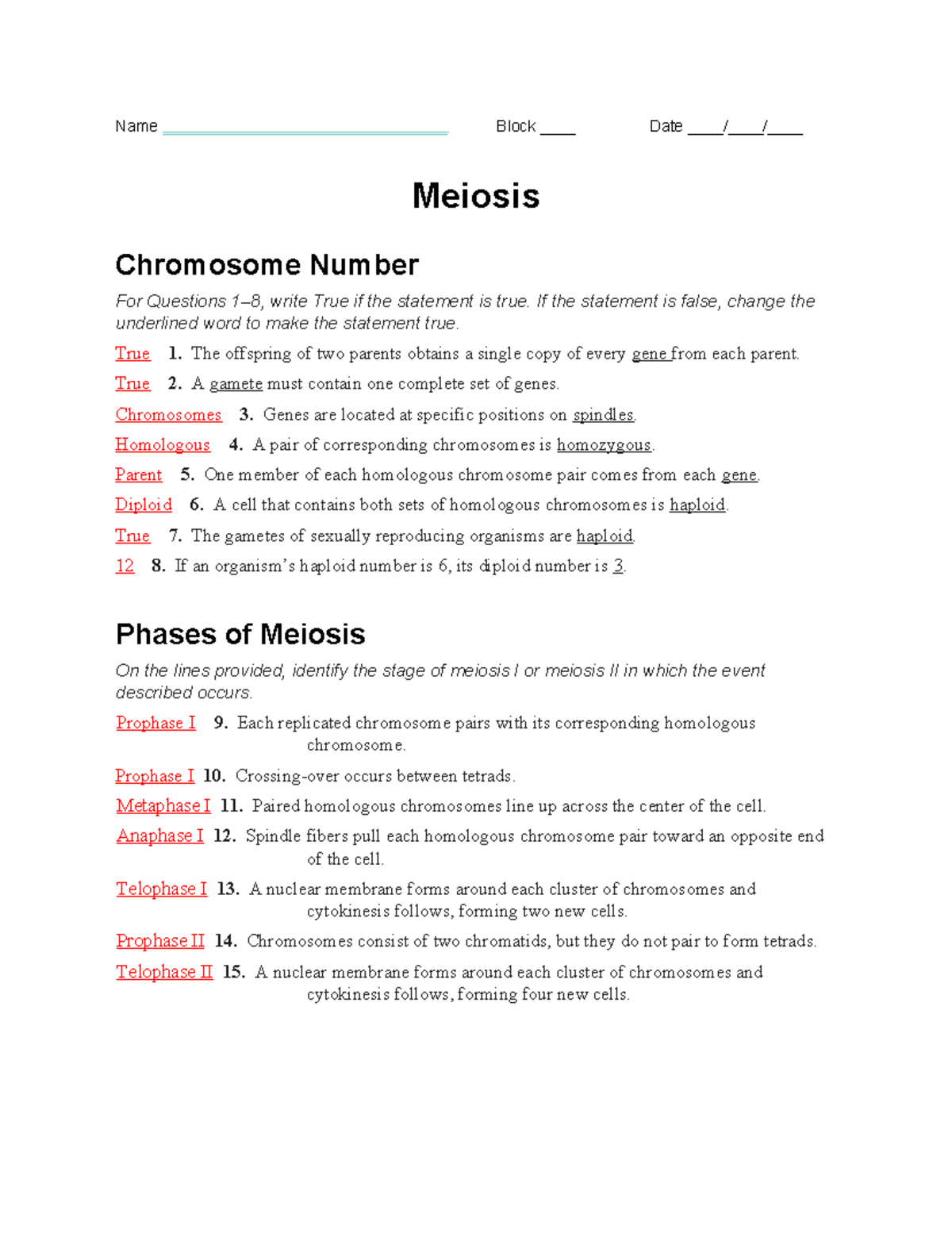 Meiosis Worksheet 1: True/False & Phase Identification Activities - Studocu