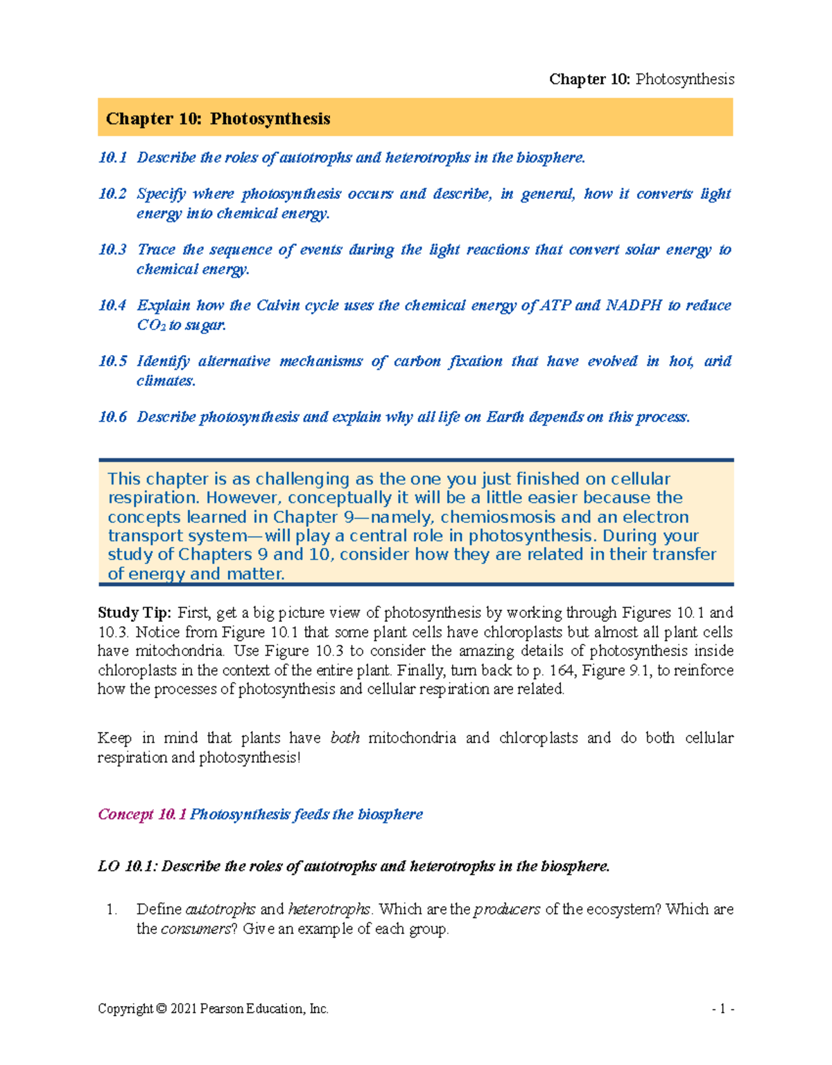 Bio12 ARG 10 - Chapter 10: Photosynthesis - Chapter 10: Photosynthesis ...