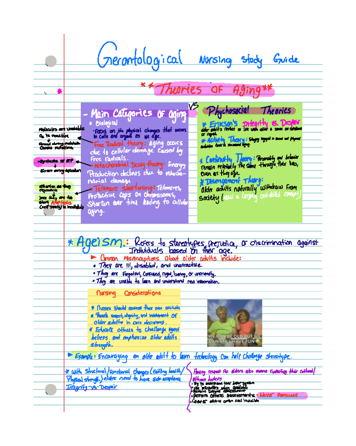 Gero 101: Study Guide for Exam 1 - Lecture Notes on Aging Theories ...