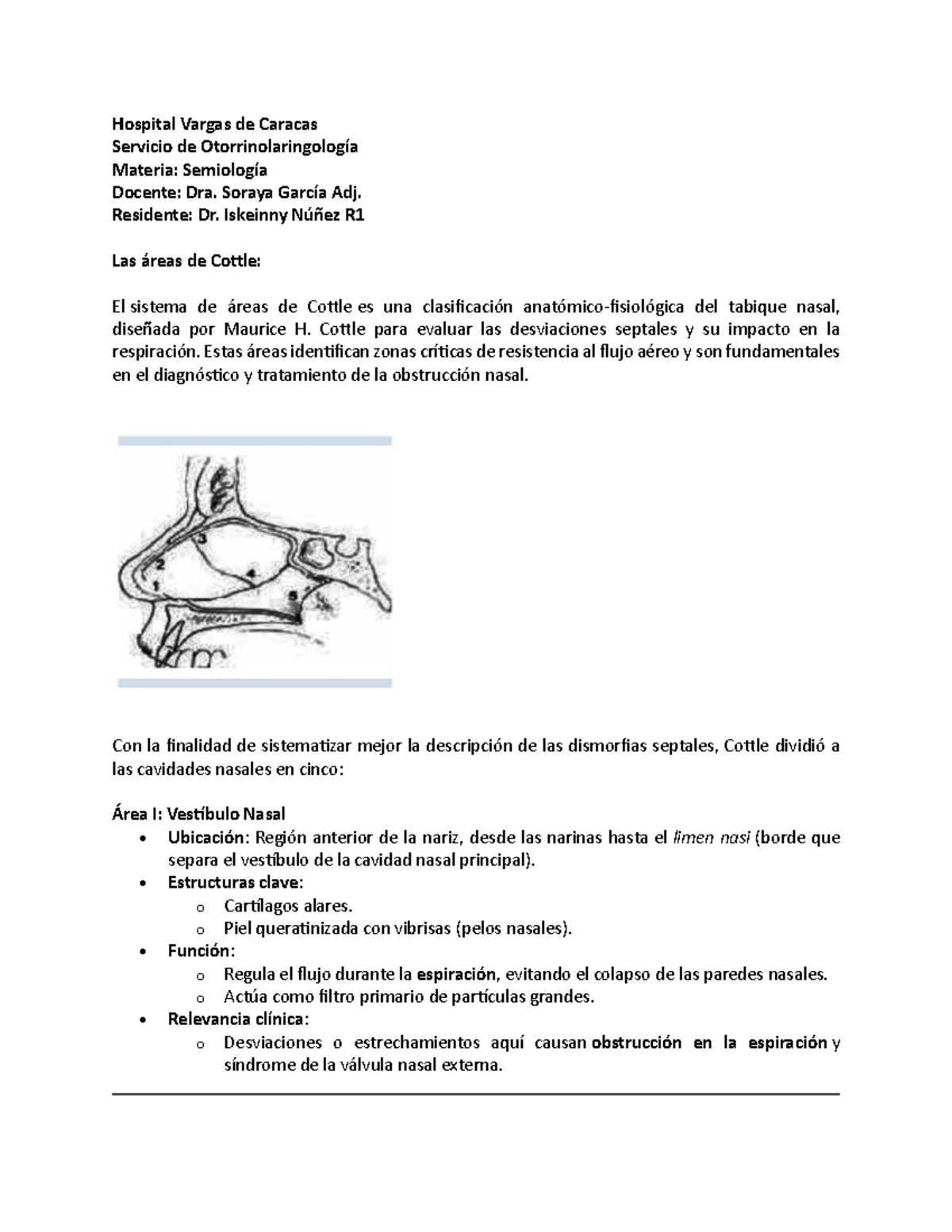 Áreas de Cottle en Otorrinolaringología: Clasificación Anatómica - Studocu