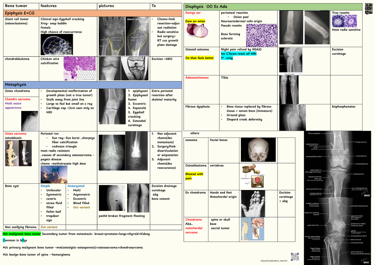 Bone Tumor Overview: Types, Treatments, and Clinical Insights - Studocu