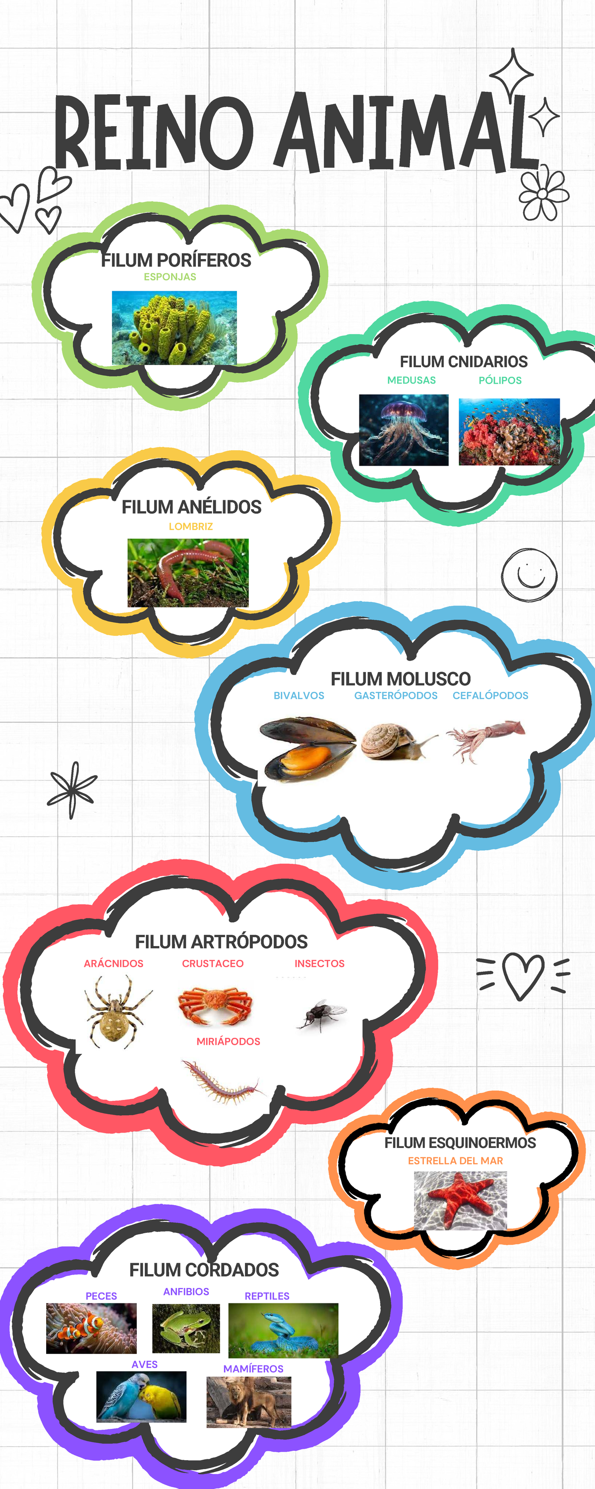 Infografía Bienestar Animal Ilustrado Colorido - REINO ANIMALREINO ...