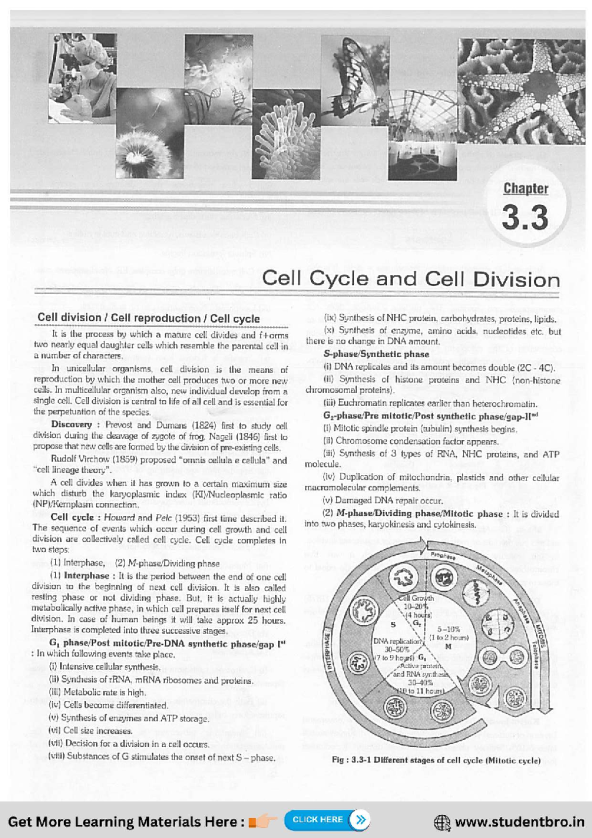 Cell Cycle and Cell Division: Comprehensive Study Notes for BIO 101 ...