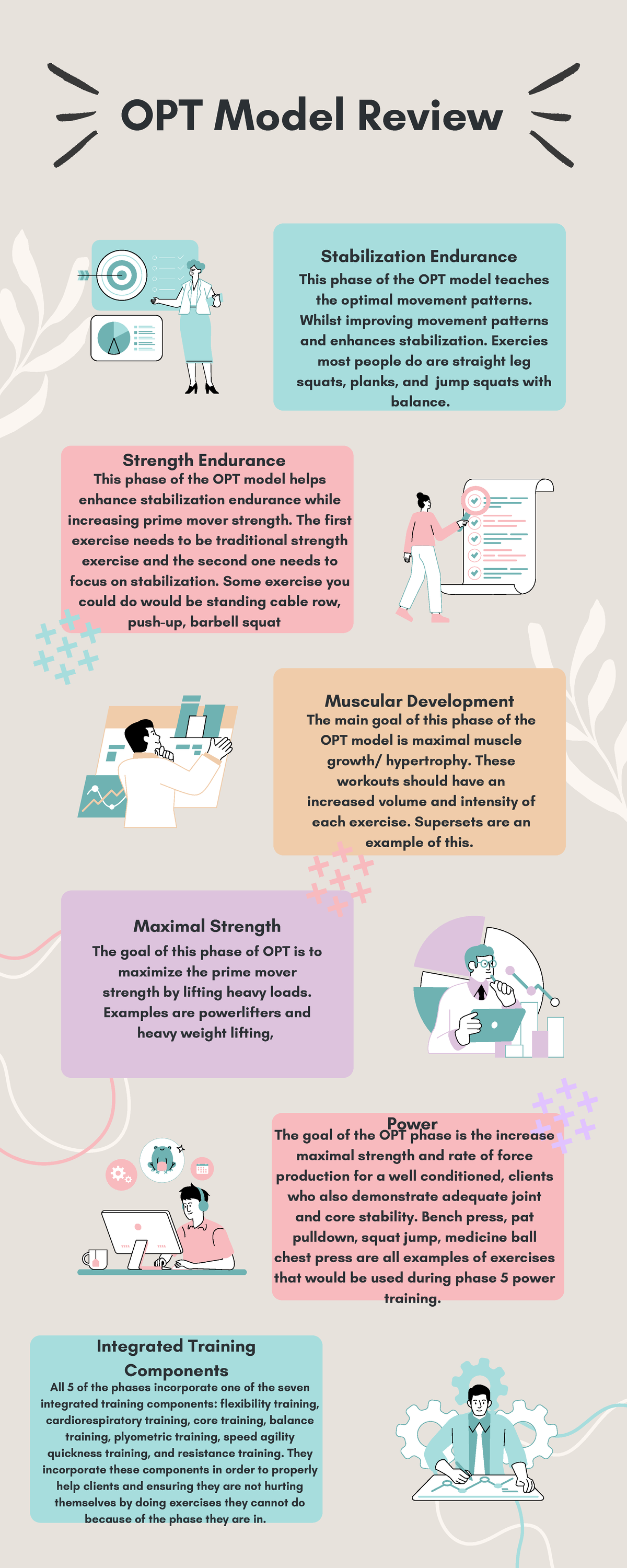 OPT REVIEW MODEL - OPT Model Review Stabilization Endurance This phase ...