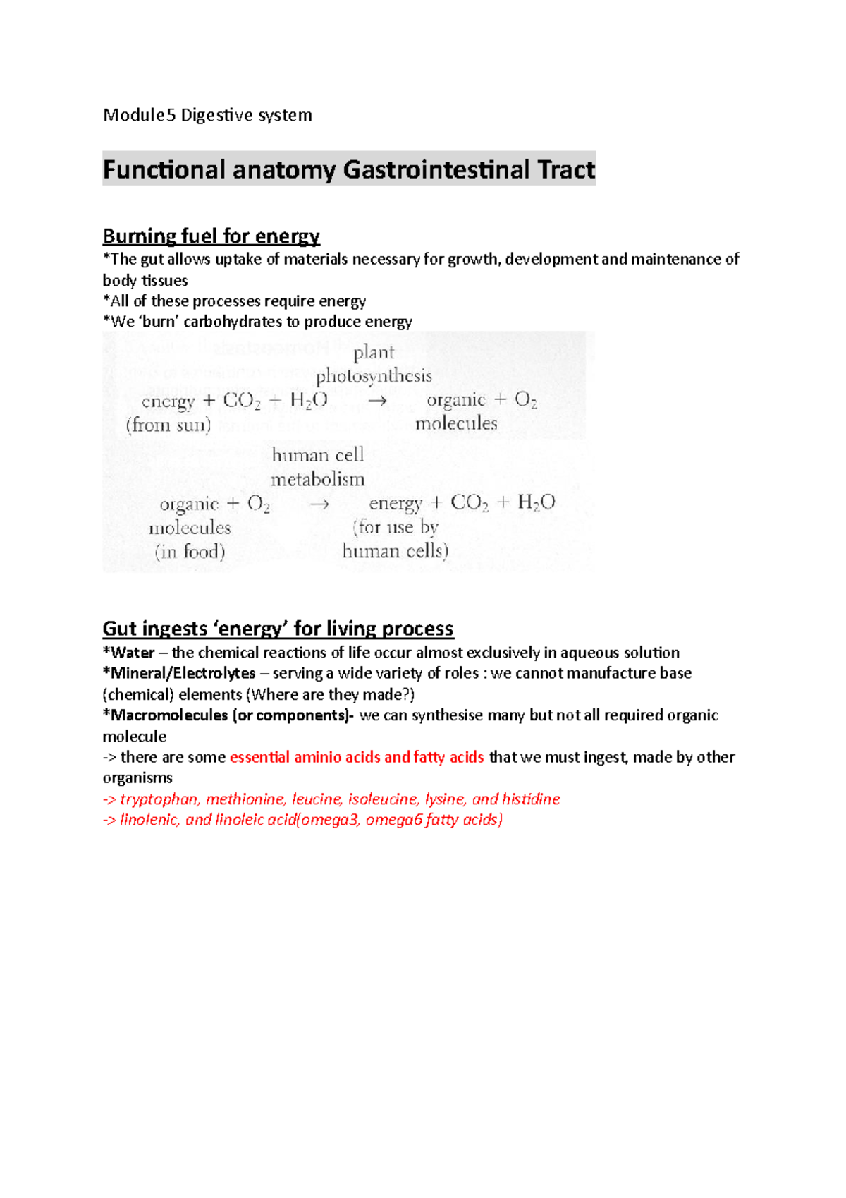 Module 5 Digestive system - Module5 Digestive system Functional anatomy ...
