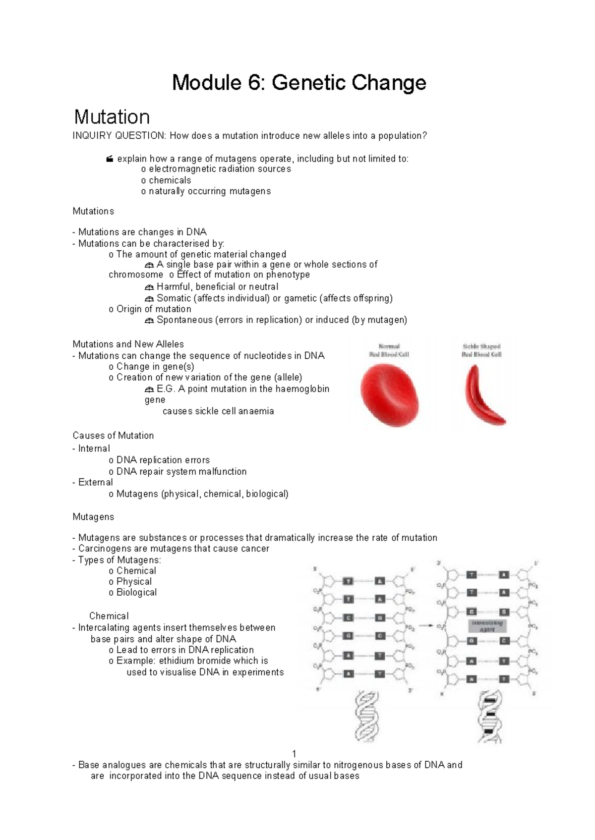 M6 - Genetic Change: Comprehensive Bio Notes on Mutation & Variation ...