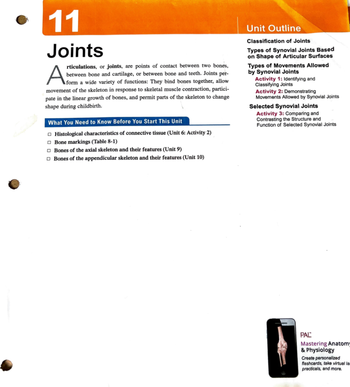 Unit 11 Joints Lab Manual: Exploring Articulations and Movements - Studocu