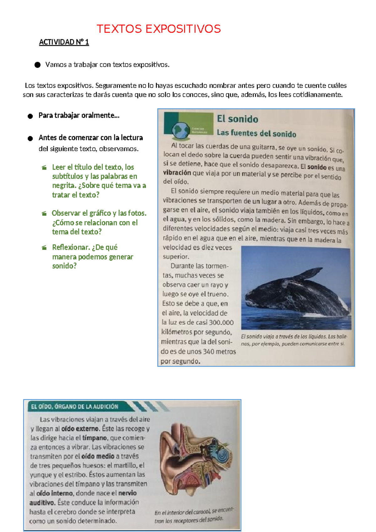 Textos Expositivos: Actividades y Estructura Didáctica - Studocu