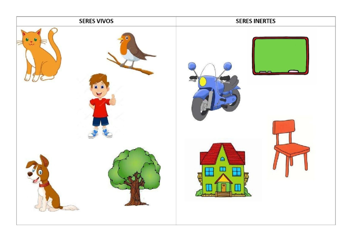 Seres Vivos Y Seres Inertes - Biología - SERES VIVOS SERES INERTES ...
