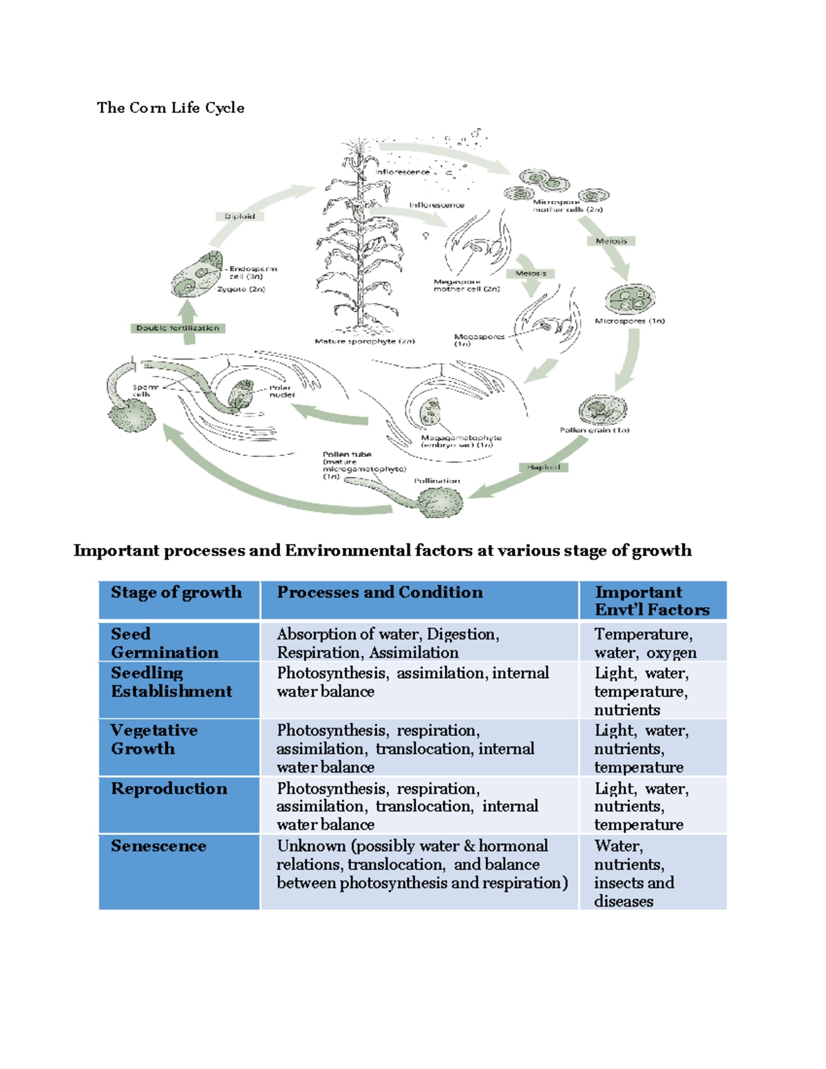FBS 103 Tree Physiology: Reading Material on Plant Processes and Growth ...