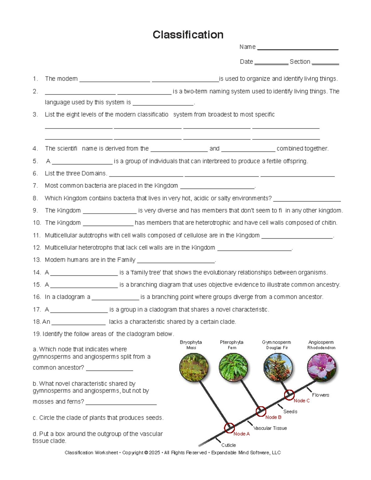 Classification Worksheet - ASAS: Understanding Modern Taxonomy and Cladograms - Studocu