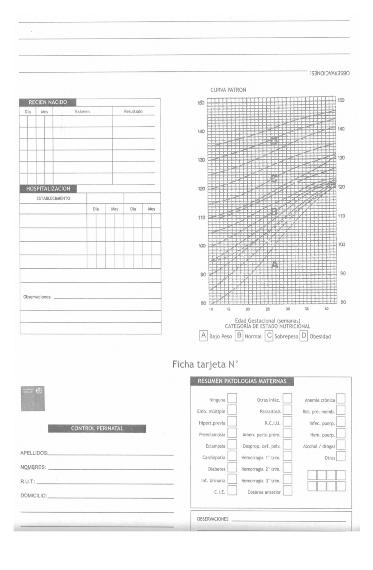 Cartola Prenatal Formato Imprimible (Recuperado automáticamente ...