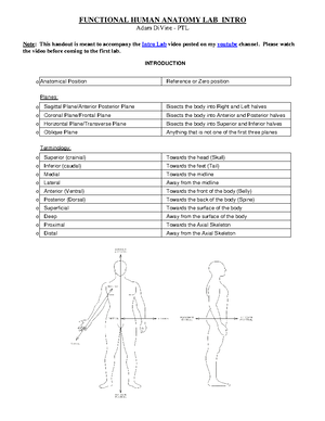 Introduction to Anatomy: Levels of Organization and Anatomical Terms ...