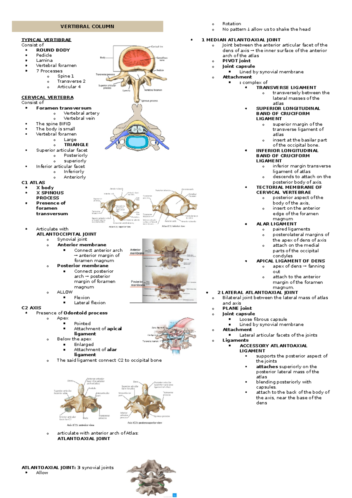 notes on Vertebrae - TYPICAL VERTIBRAE Consist of ROUND BODY Pedicle ...
