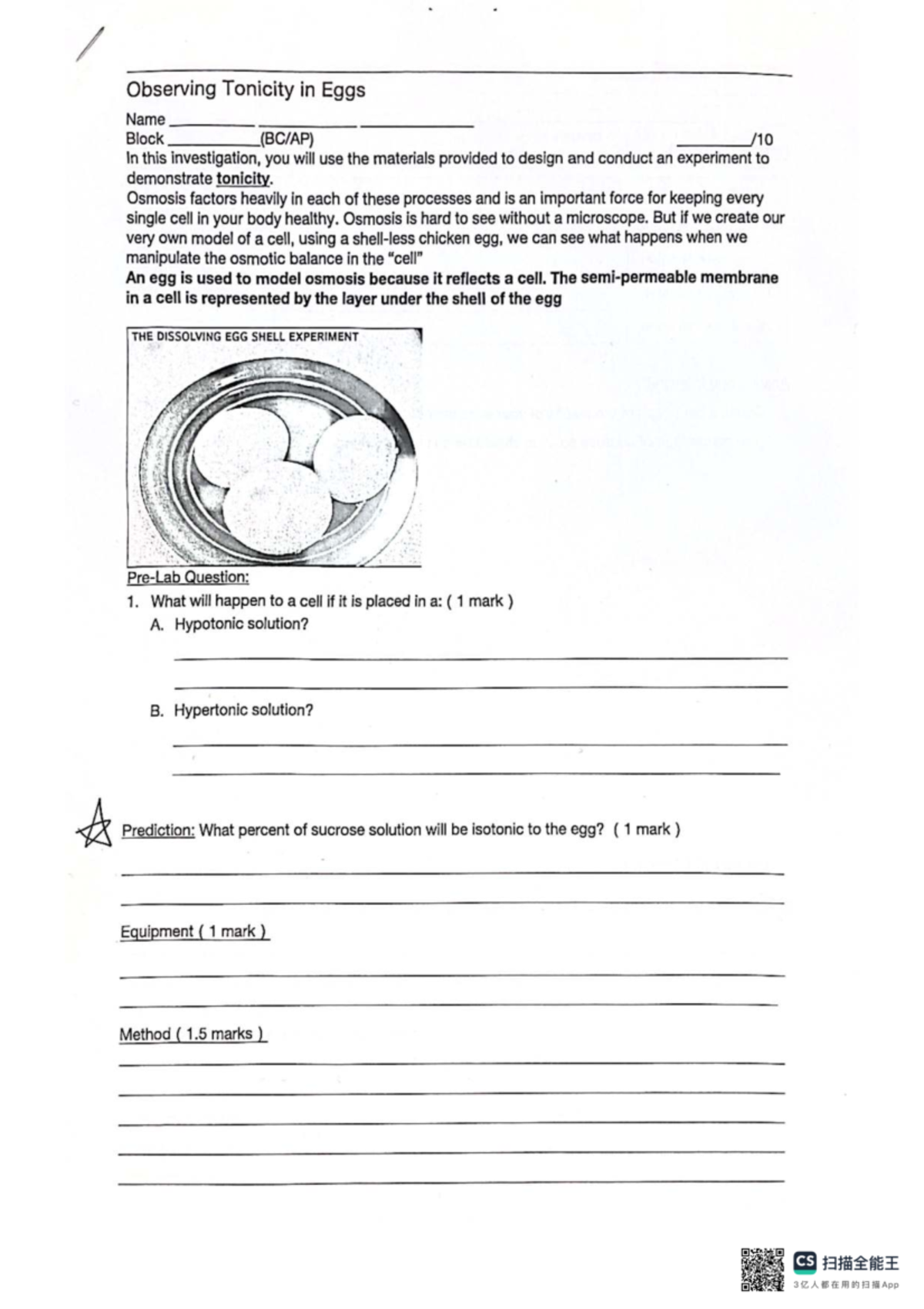 Osmosis in Eggs Experiment: Tonicity Investigation - Studocu