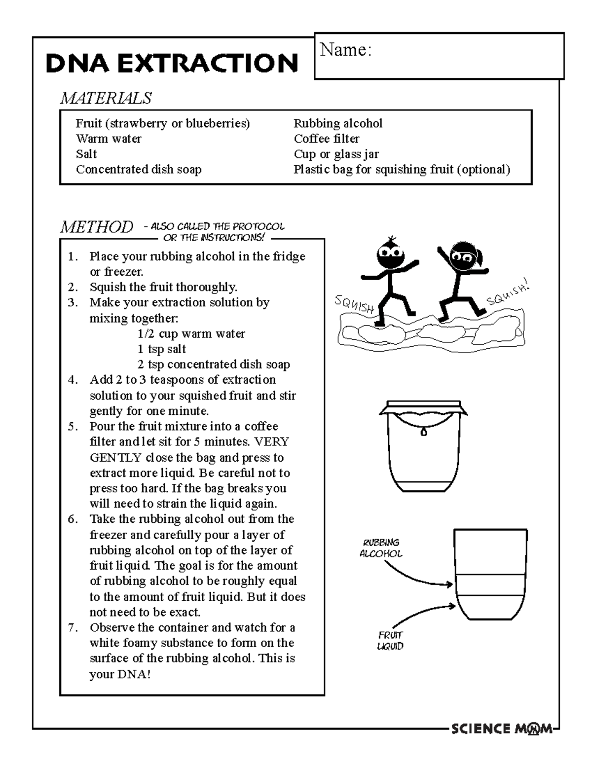 DNA Extraction from Fruit: A Hands-On Experiment Guide - Studocu