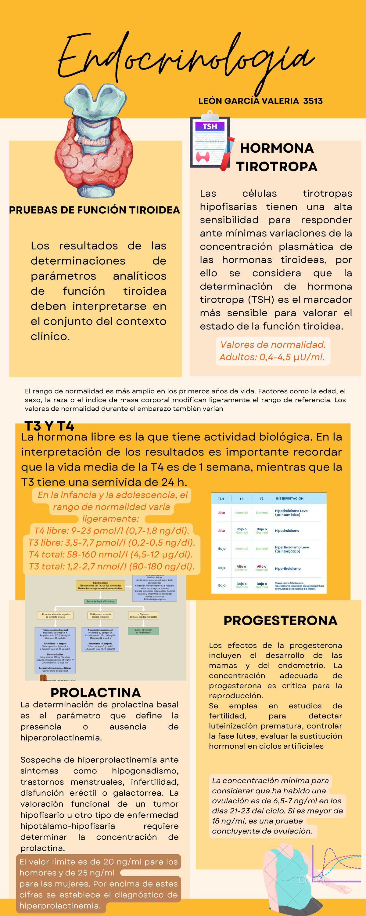 Endocrinología - Infografía sobre el estudio hormonal en el laboratorio ...