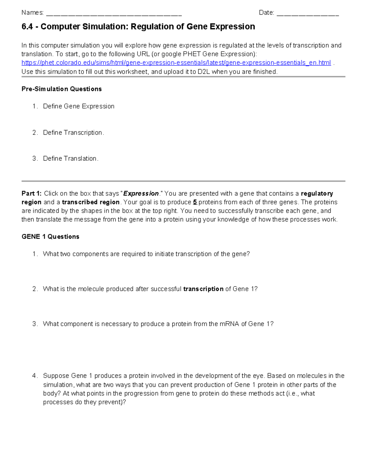 ON - 6.4 - Lab Worksheet: Exploring Gene Regulation Through Simulation ...