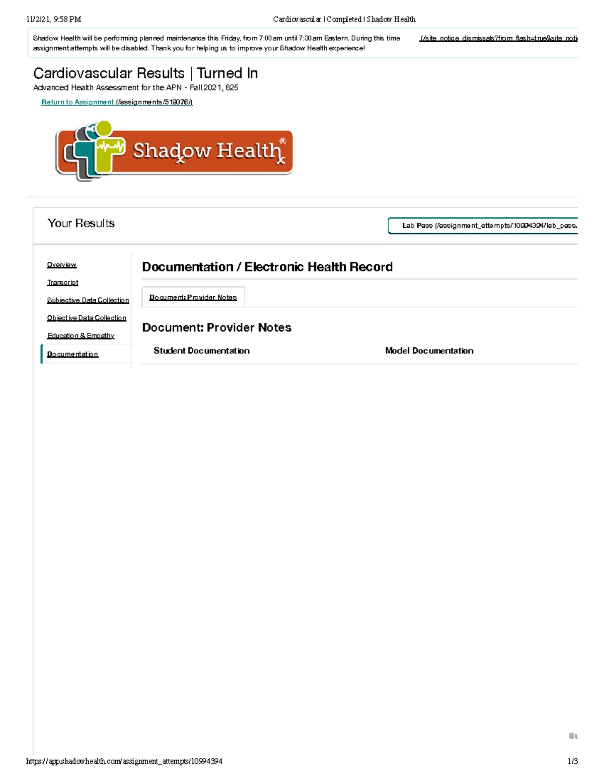 Headto Toe Assessment - Shadow health transcript - Comprehensive ...