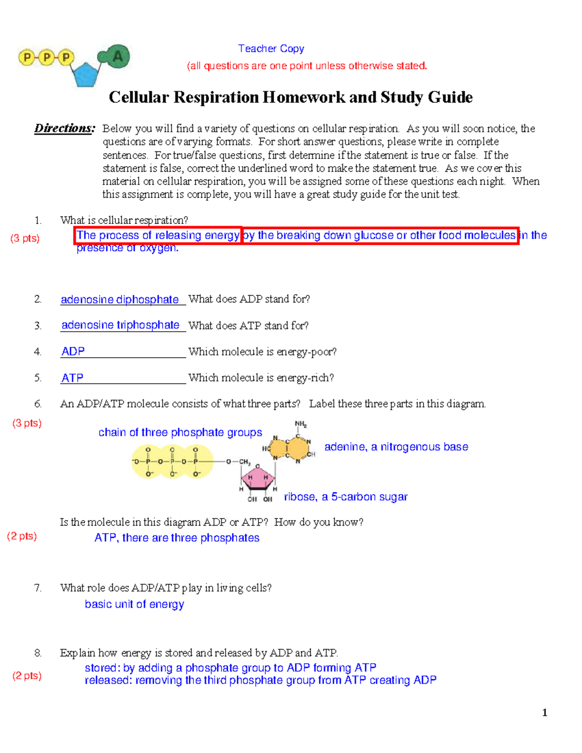 Cellular Respiration Study Guide and Answer Key (Unit Test Prep) - Studocu