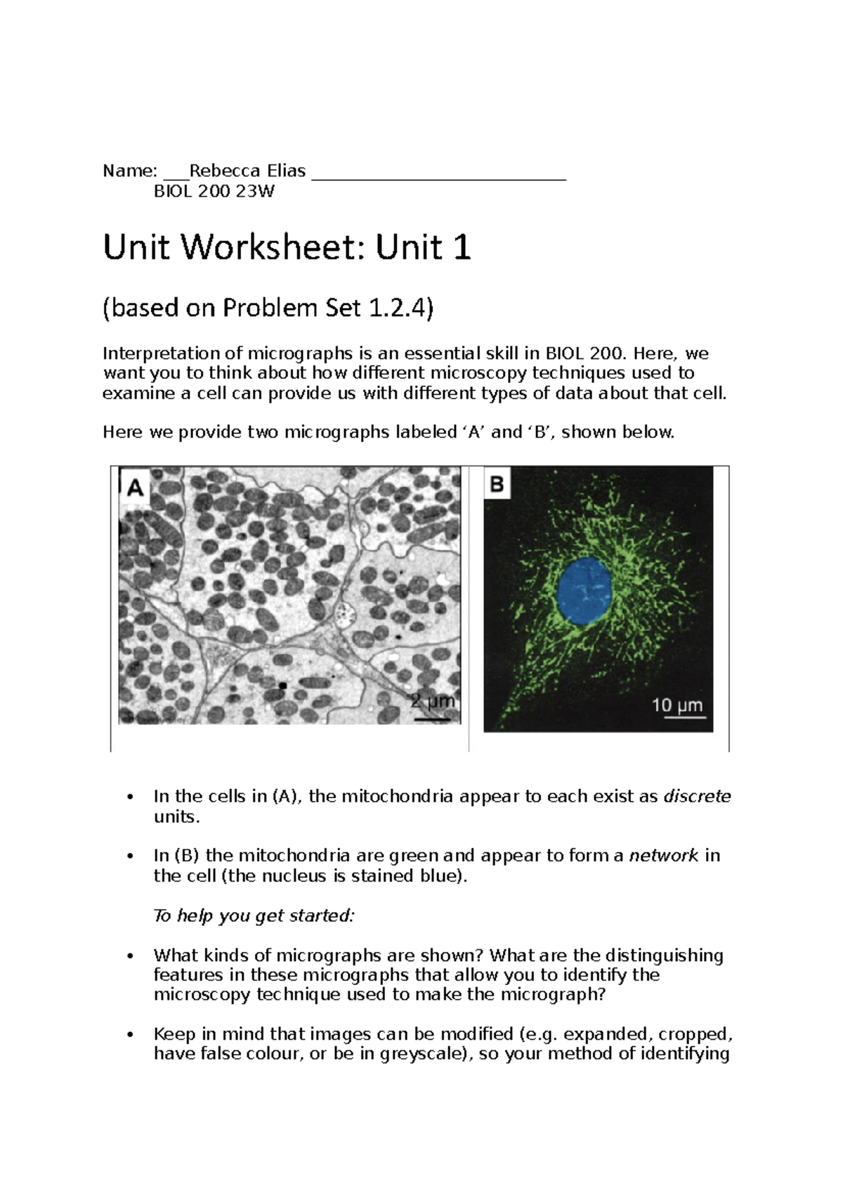 BIOL 200 Unit 1 Worksheet: Microscopy Techniques & Mitochondria - Studocu