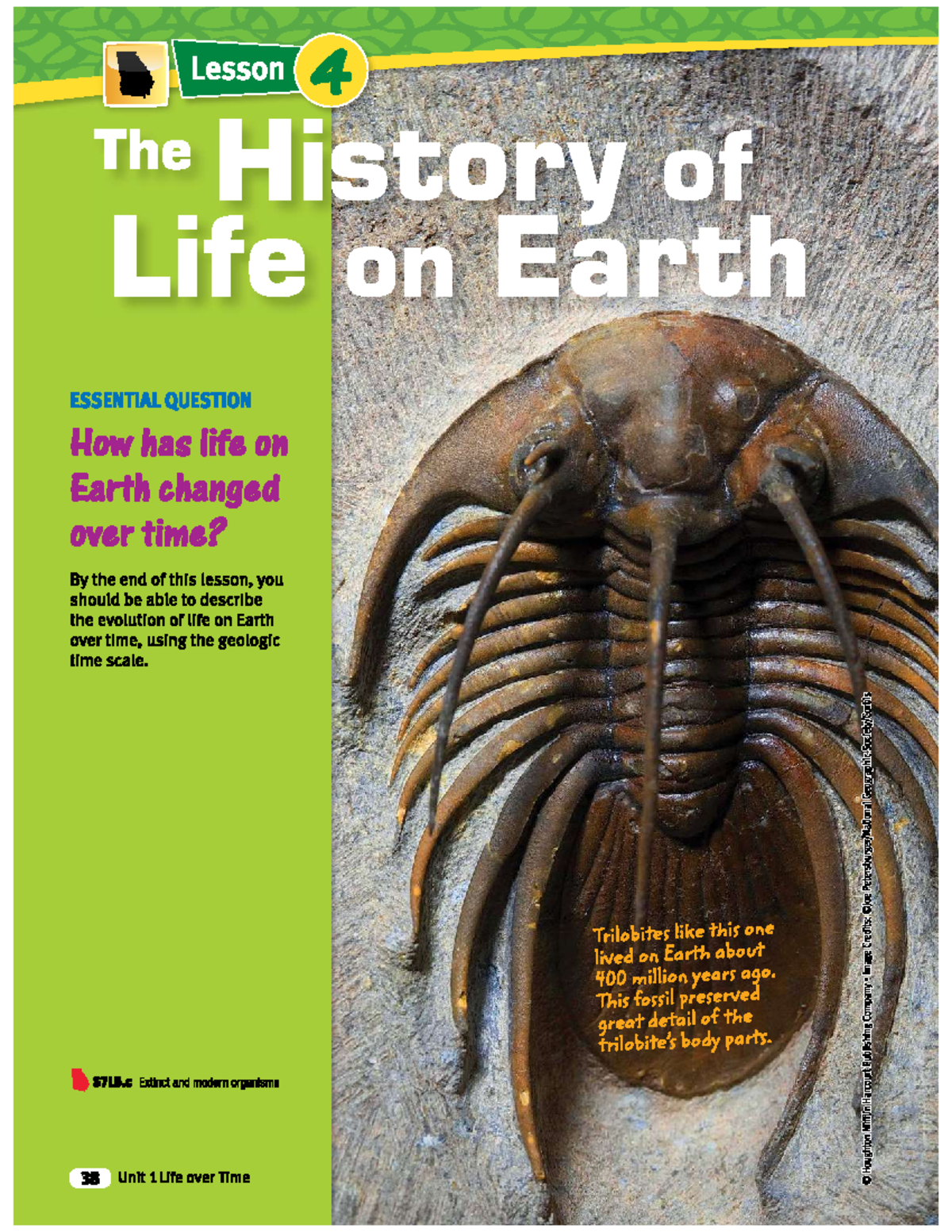 Lesson 4: The Evolution of Life on Earth (S7L5.c) - Studocu