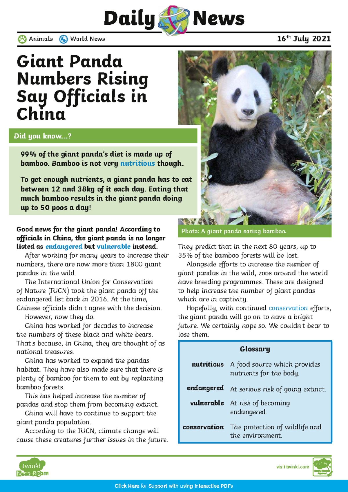 Daily Article: Giant Panda Numbers Rising - UKS2 (9-11) - Studocu
