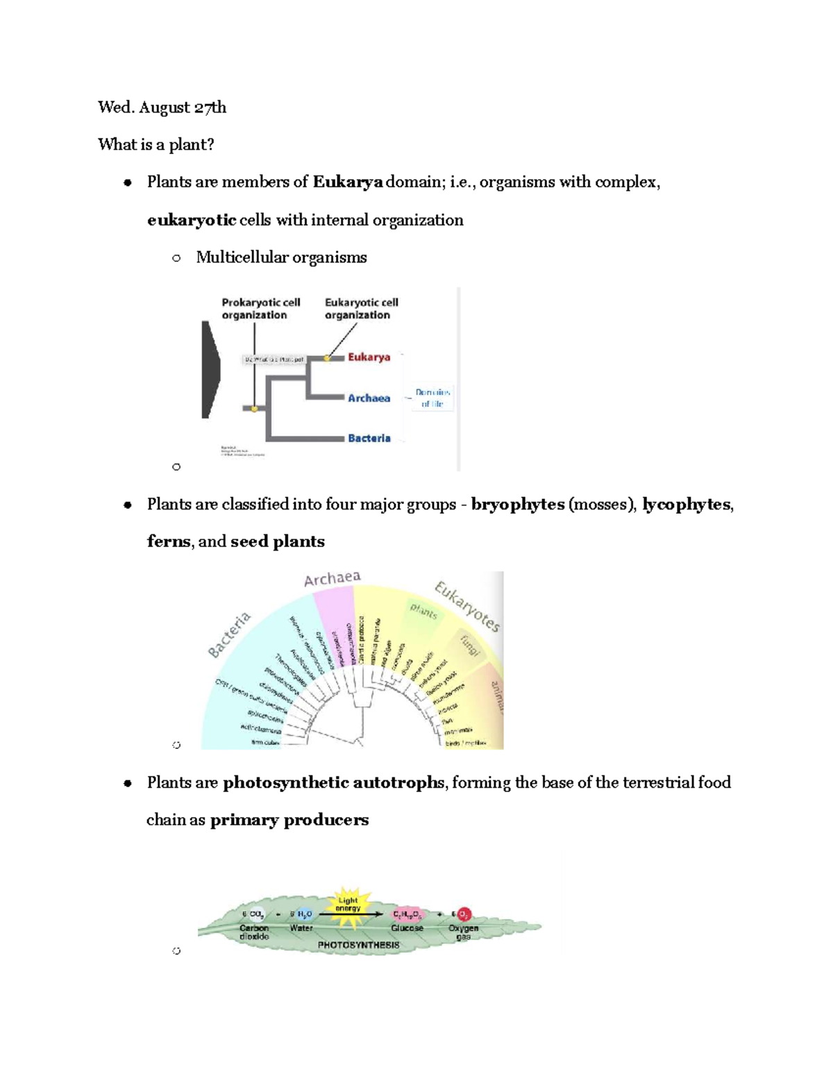 Plant Structure, Function, and Evolution: Biology 101 Overview - Studocu