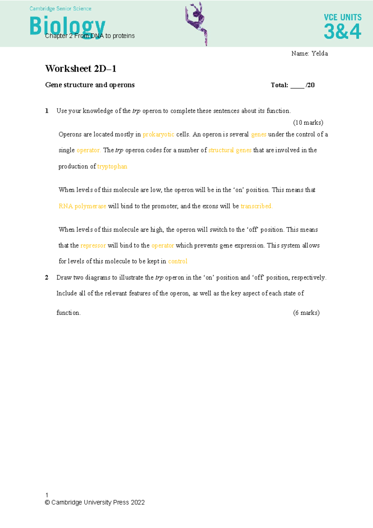 Chapter 2: Gene Structure & Operons - Worksheet 2D (trp Operon) - Studocu