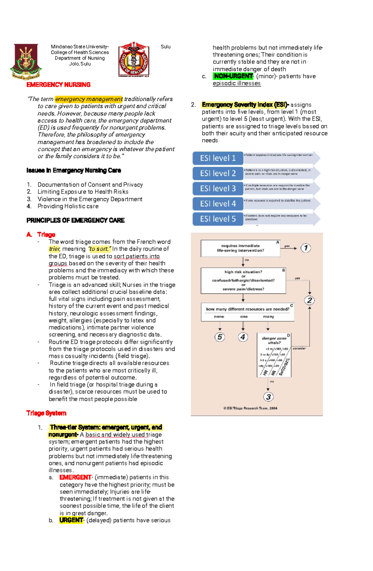 NSG- Emergency Nursing: Comprehensive Guide to Critical Care Practices ...