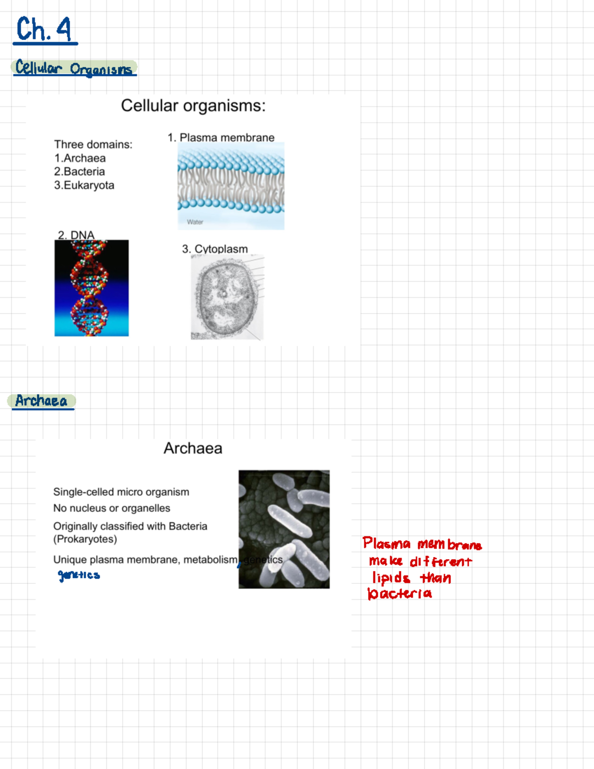 Eukaryotic Cell Structures and Functions: Overview and Learning Goals ...