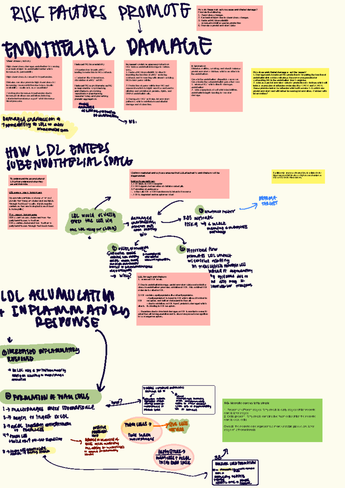 L1 MMS atherosclerosis pathogenesis and treatment - ####### Shear ...