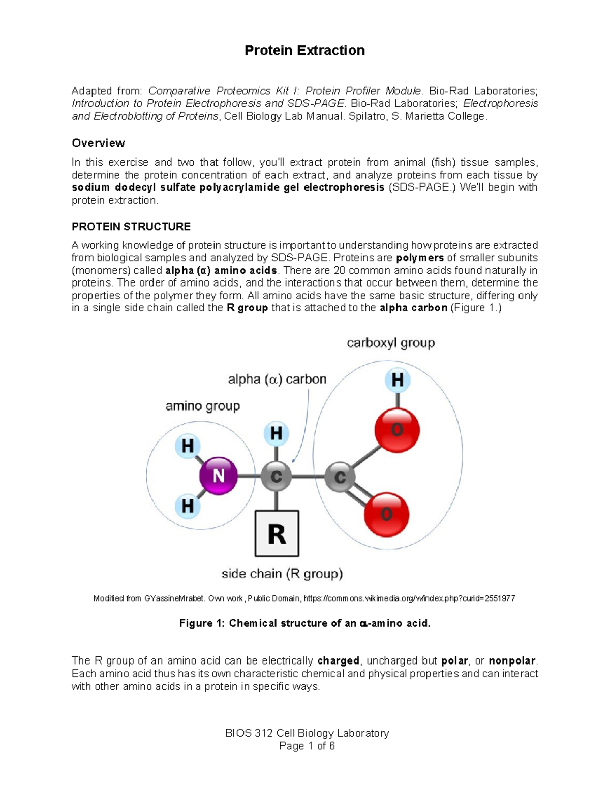 Protein Extraction & SDS-PAGE Analysis: BIOS 312 Lab Manual - Studocu