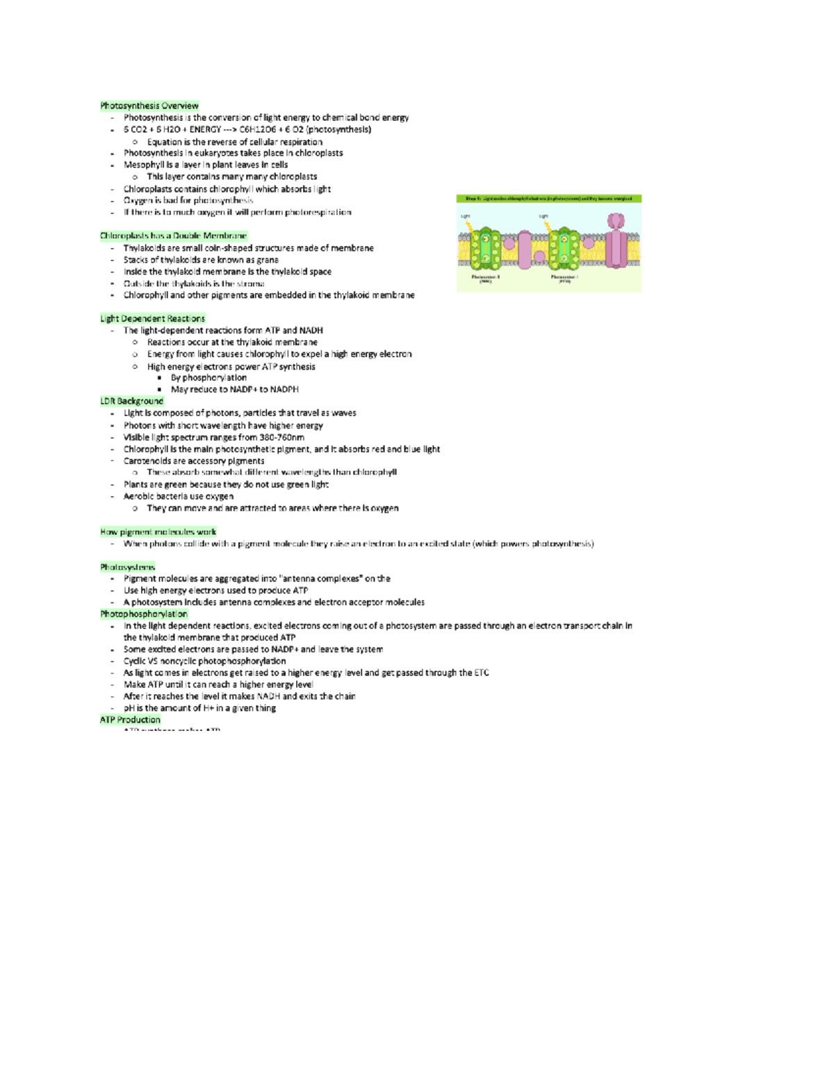 Chapeter 10 - Photosynthesis - Photosynthesis Overview Photosynthesis ...