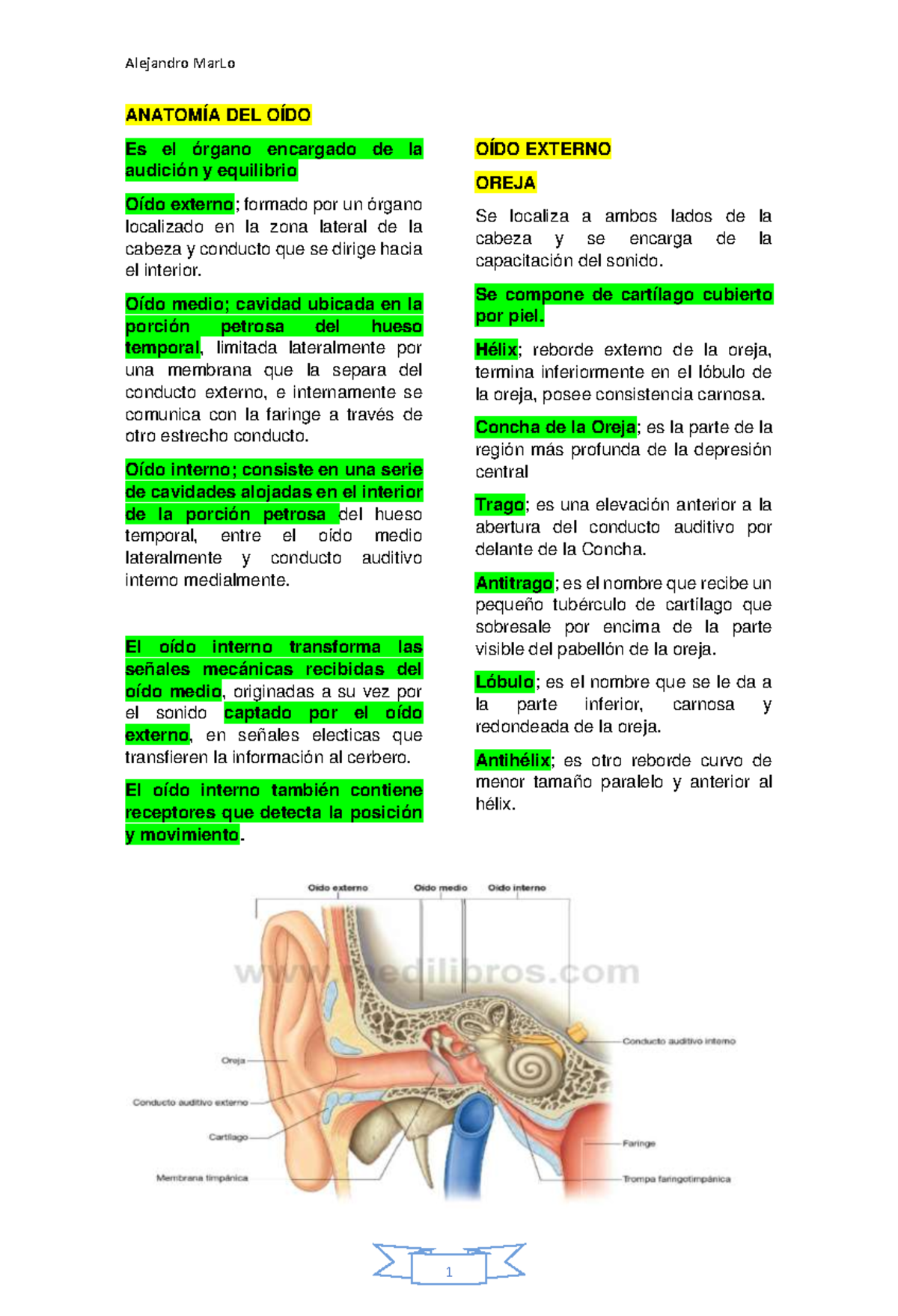 Anatomía Del Oído - ANATOMÍA DEL OÍDO Es el órgano encargado de la ...