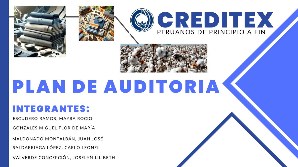 PLAN DE AUDITORÍA PARA CREDITEX: EVALUACIÓN DE PROCESOS Y RIESGOS - Studocu