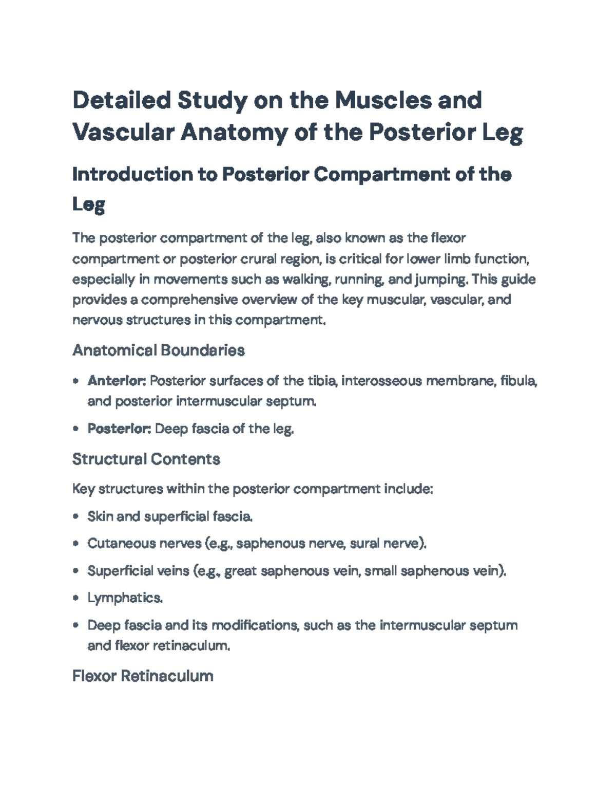 Comprehensive Study of Posterior Leg Muscles & Vascular Anatomy - Studocu
